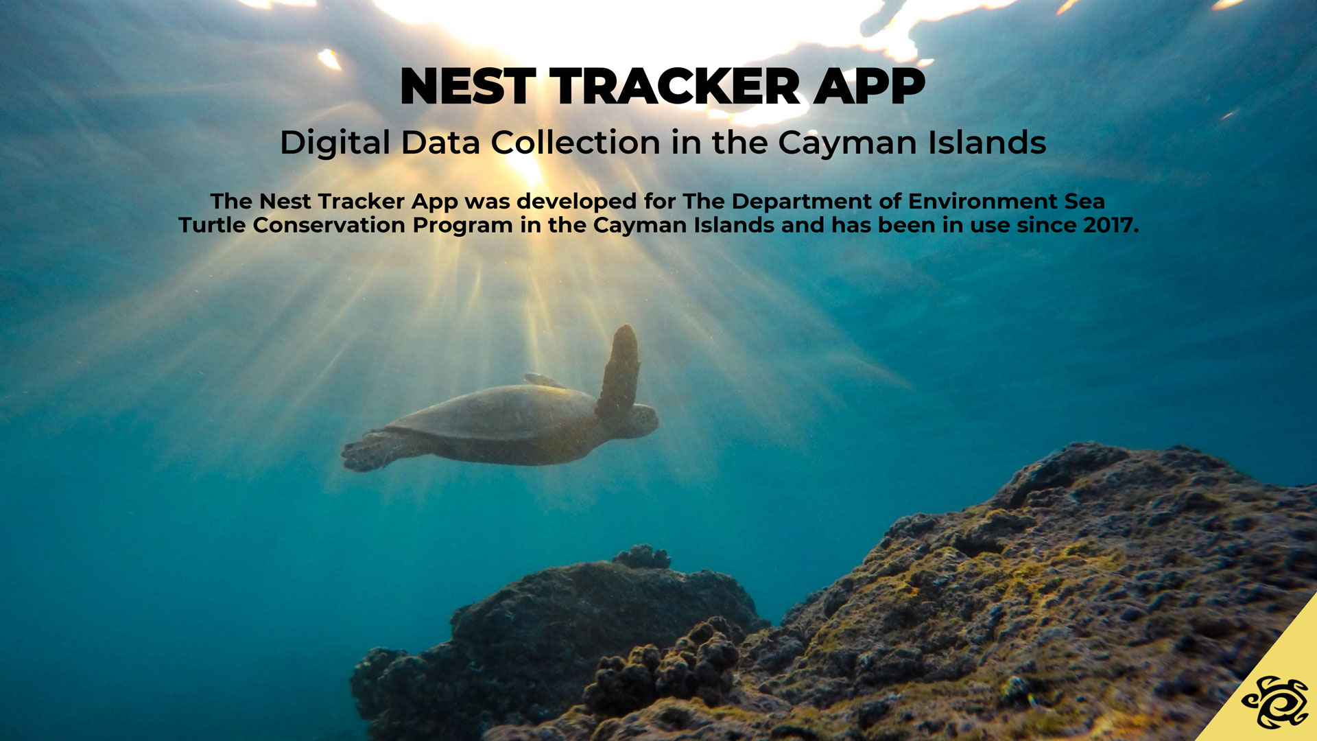 Nest Tracker